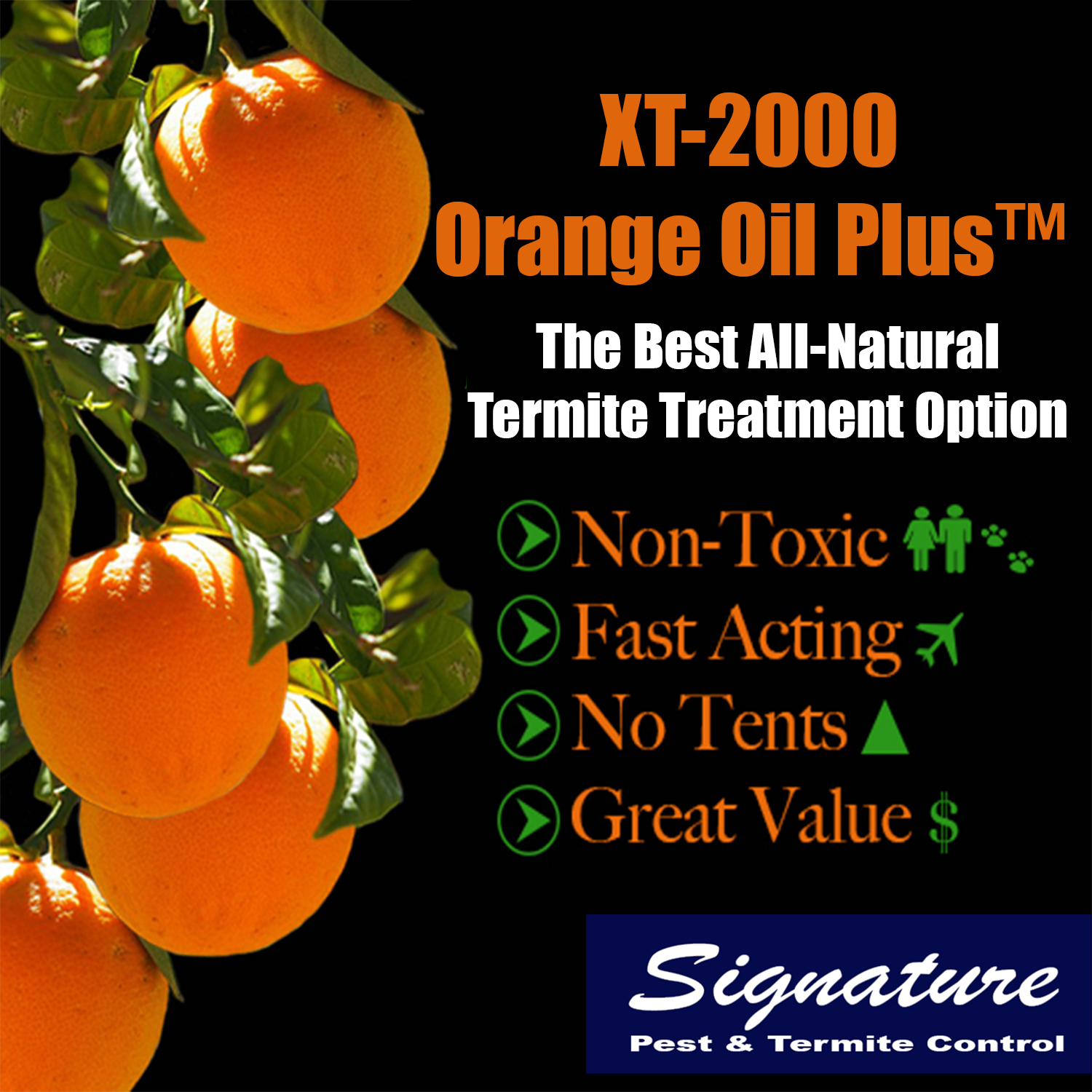 Orange Oil Termite Treatment | Signature Pest Control